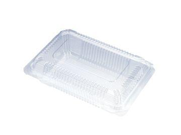 OPS Clear Hinged Container With Lock